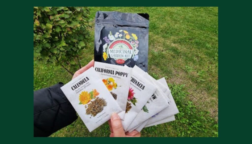 Medicinal Garden Kit : Grow 10 Natural Remedies